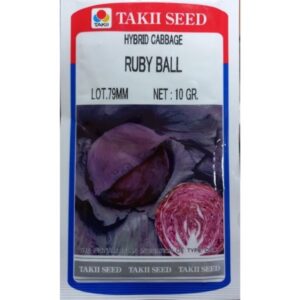 RUBY BALL Hybrid Red Cabbage (Takii) - 10g Hybrid Seed Online in India ...